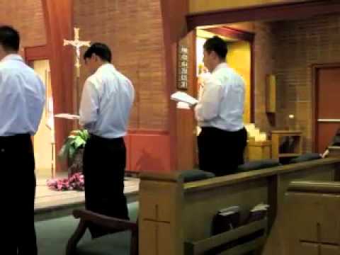 Eight men receive the Carmelite habit | Third Order Carmelites TOC