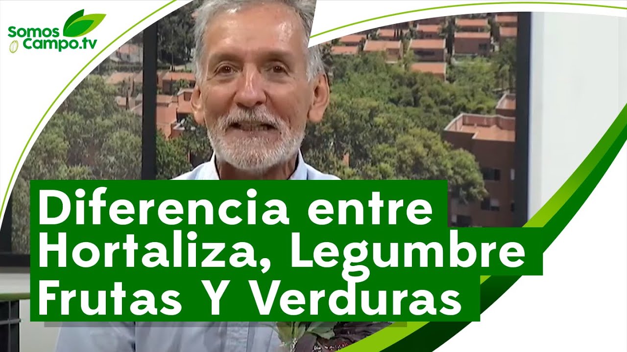 Diferencia Entre Hortaliza, Legumbres, Frutas Y Verduras - Somos Campo.Tv