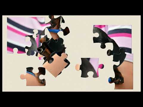 048 だぁれ?子犬 Puppy Dog Jigsaw Puzzle /Enjoy Gameplay Video on PC