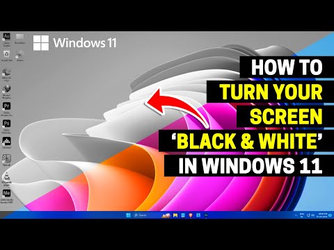 How to Turn Your Screen 'Black & White' in Windows 11