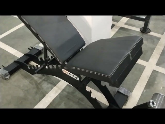 Commercial Gym Benches - Multi Adjustable Bench Manufacturer from New Delhi
