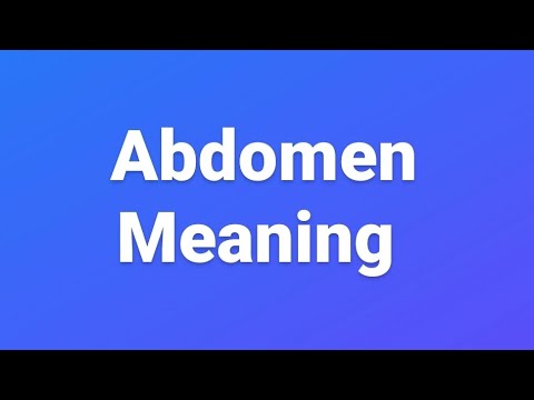 Abdomen word meaning in english | Pronunciation and Definition of Abdomen word in english