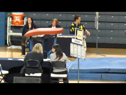 Austin Sheppard 9.975 Vault – Gymnastics Coaching.com