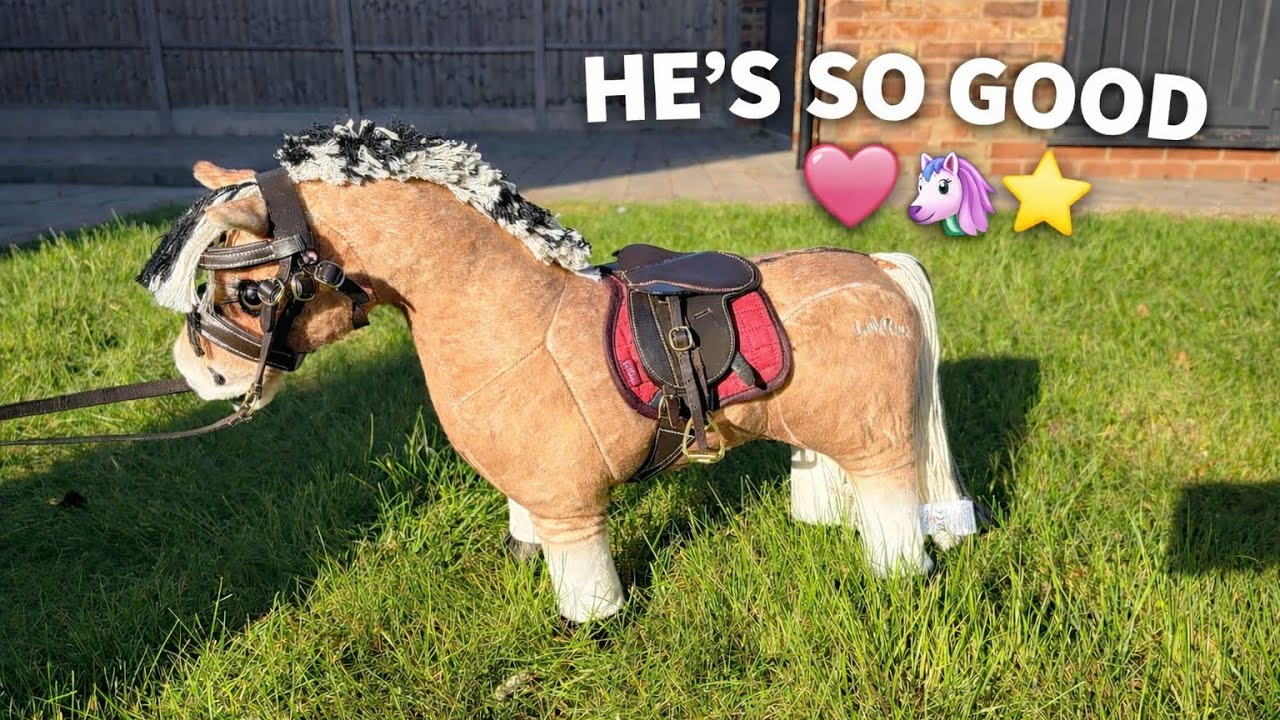 🎀 NEW RIDING HAT REVEAL + FIRST RIDE ON MY NEW PONY 🐴💖 @Myminiponyworld