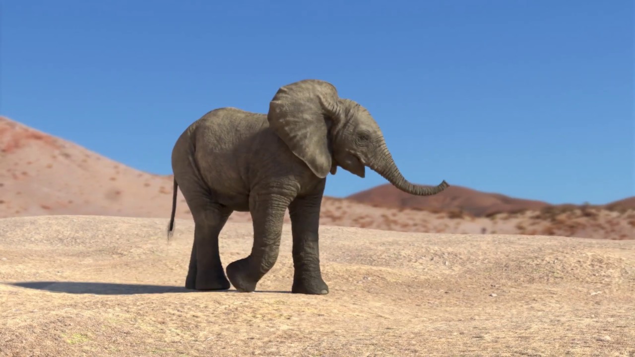 Fernando Usabiaga Baby Elephant Model Breakdown