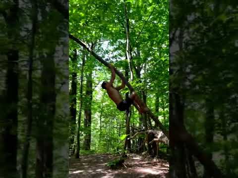 Man Climbs trees better than a Monkey | Amazing Tree Climbing Skills | Human Skills #short