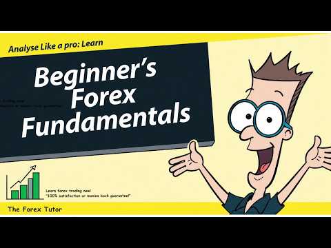 Forex Trading for Beginners: Master Fundamental Analysis and Economy Logic