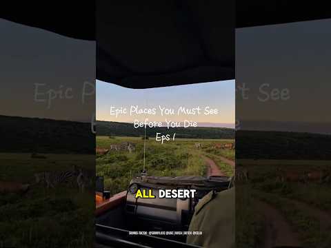 Kruger National Park - South Africa Travel Guide