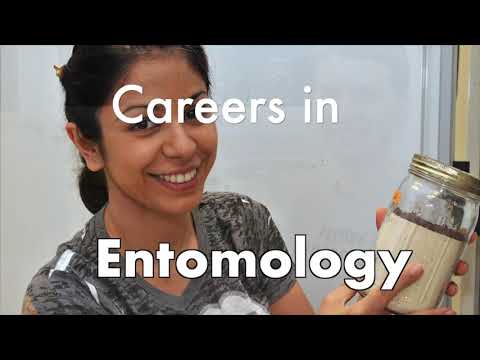 Careers in Entomology: JobSpark/Junior Achievement