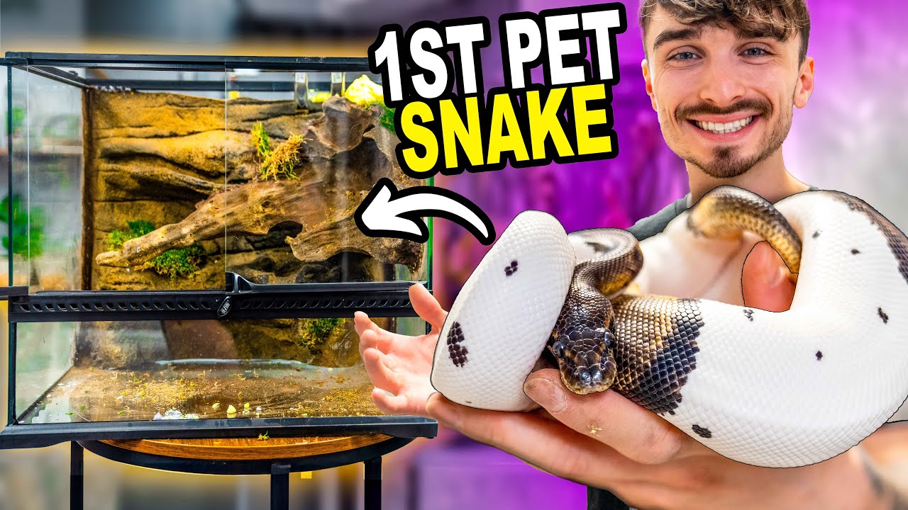 Building Epic Enclosure For My First Snake!
