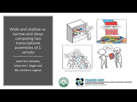 2020 DLSU RESEARCH CONGRESS - Wild-and-Shallow vs. Narrow-and-Deep