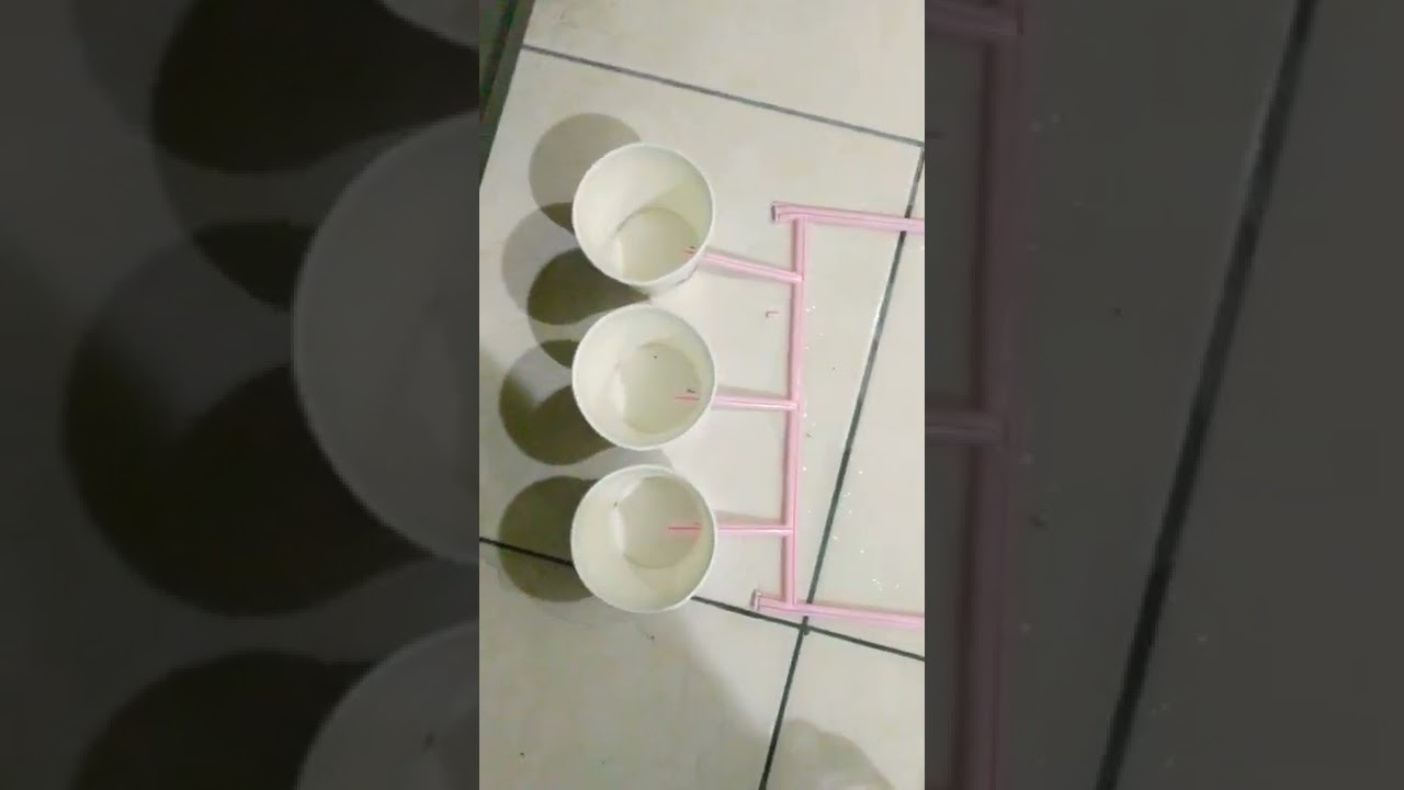 Pengujian Mock-up Sistem Fertigasi - RBT Tingkatan 1