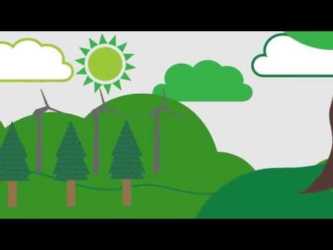 Three Green Promotions intro