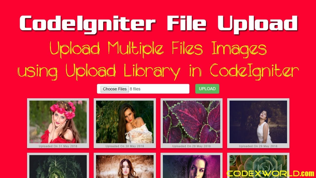 Upload Multiple Images and Files in CodeIgniter