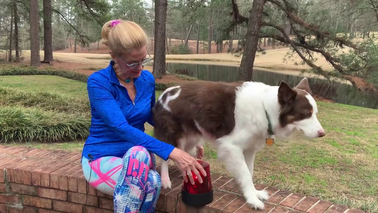 412 Negative energy. Protection Prayer to remove negative energy w Brent Atwater psychic medium