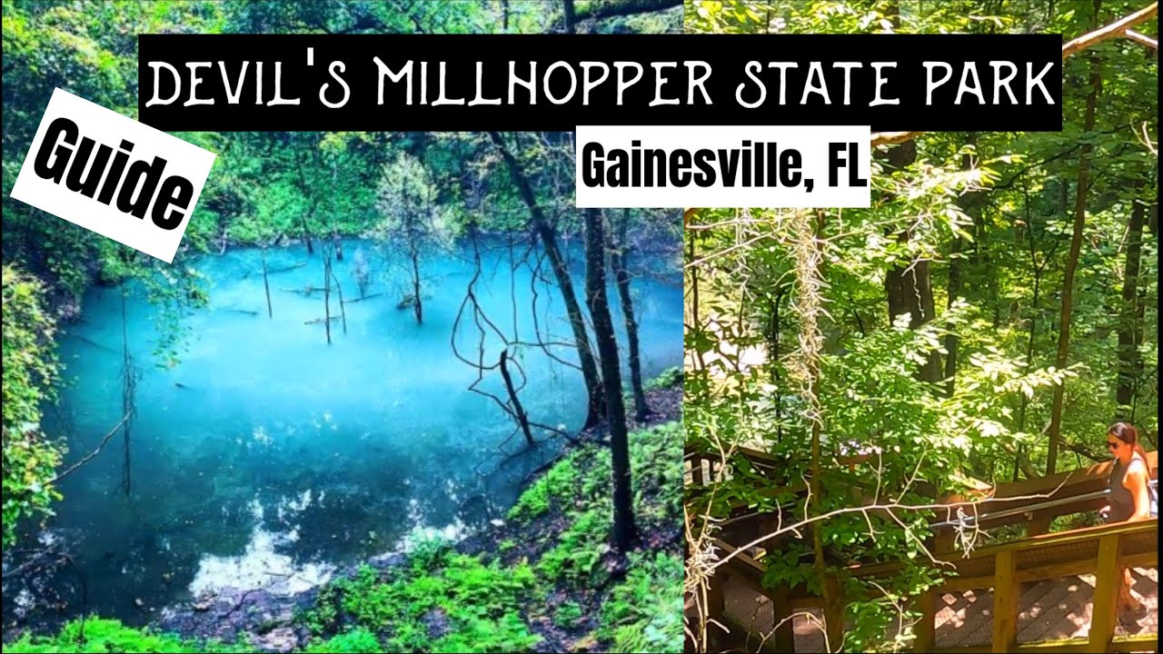Visitors Guide to Devil's Millhopper State Park | Gainesville, FL | Waterfalls | Boardwalk | Picnic