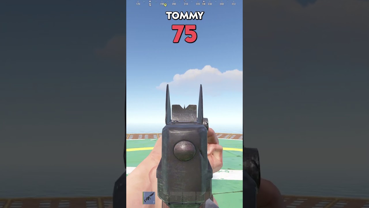 Damage dealt to head in RUST!