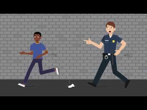 California v. Hodari D. Case Brief Summary | Law Case Explained