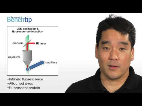 Bench Tip Video: Measuring Interactions Using Microscale Thermophoresis
