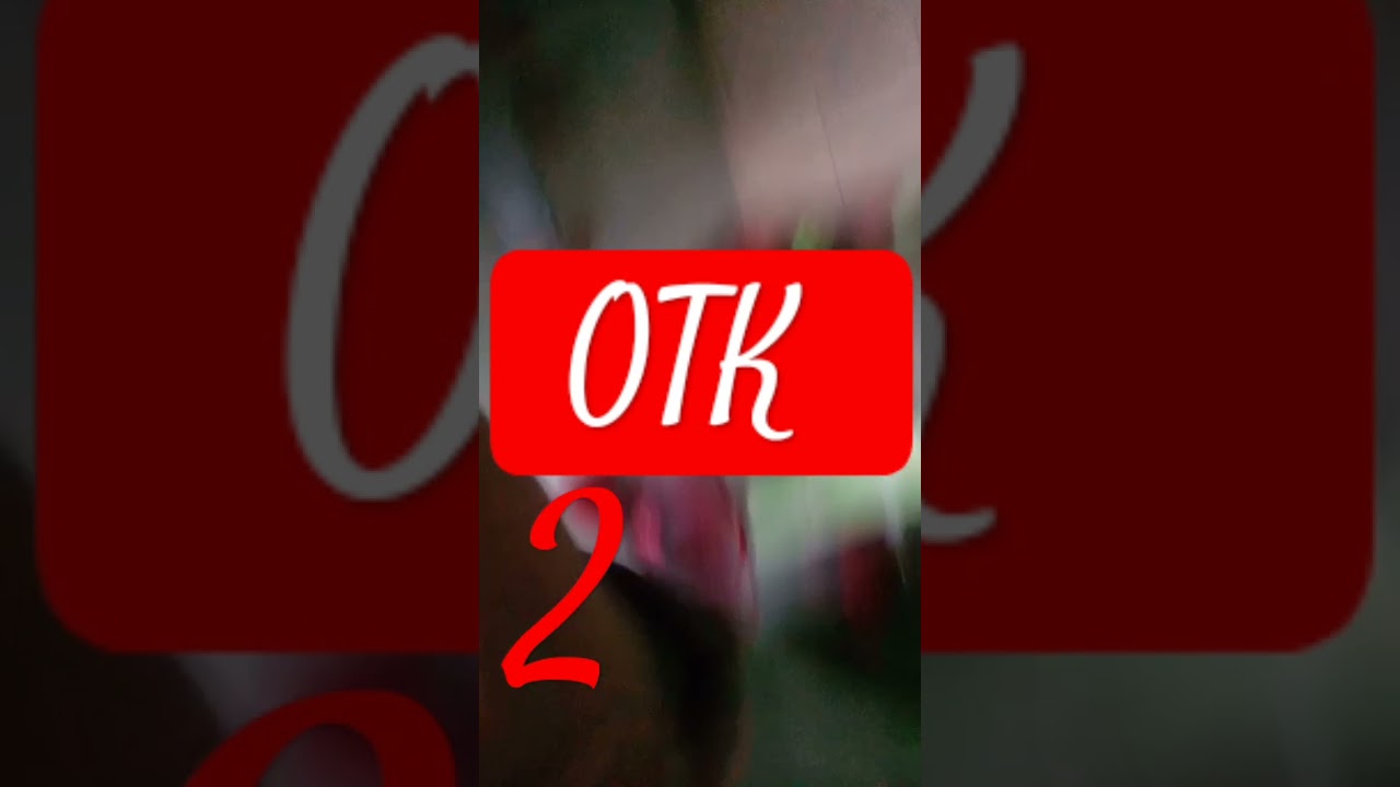 OTK2 Ident (1990-1992)