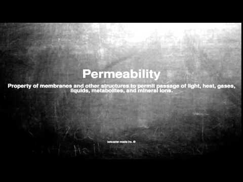 Medical vocabulary: What does Permeability mean