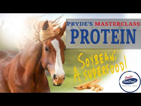 History Of Soybean