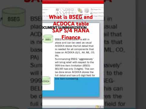 SAP S/4 HANA Finance#BSEG and ACDOCA tables#courses #saps4hana #trending #viral #yt
