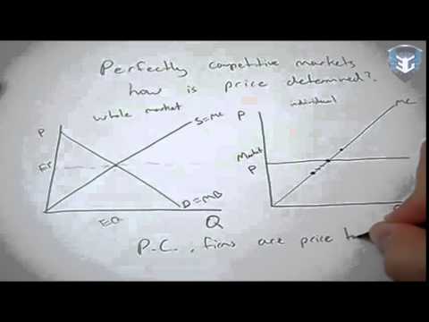 Pricing Practices and Strategies new