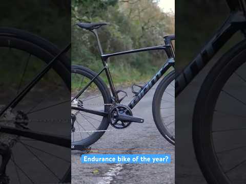 The Best Endurance Road Bike Right Now? #shorts #cyclingshorts #bikeshorts #cycling
