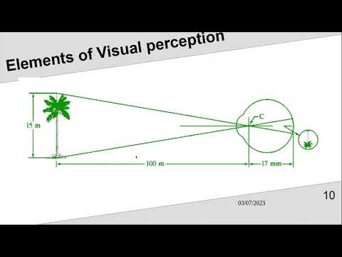 Elements of Visual perception in DIP(Tamil)