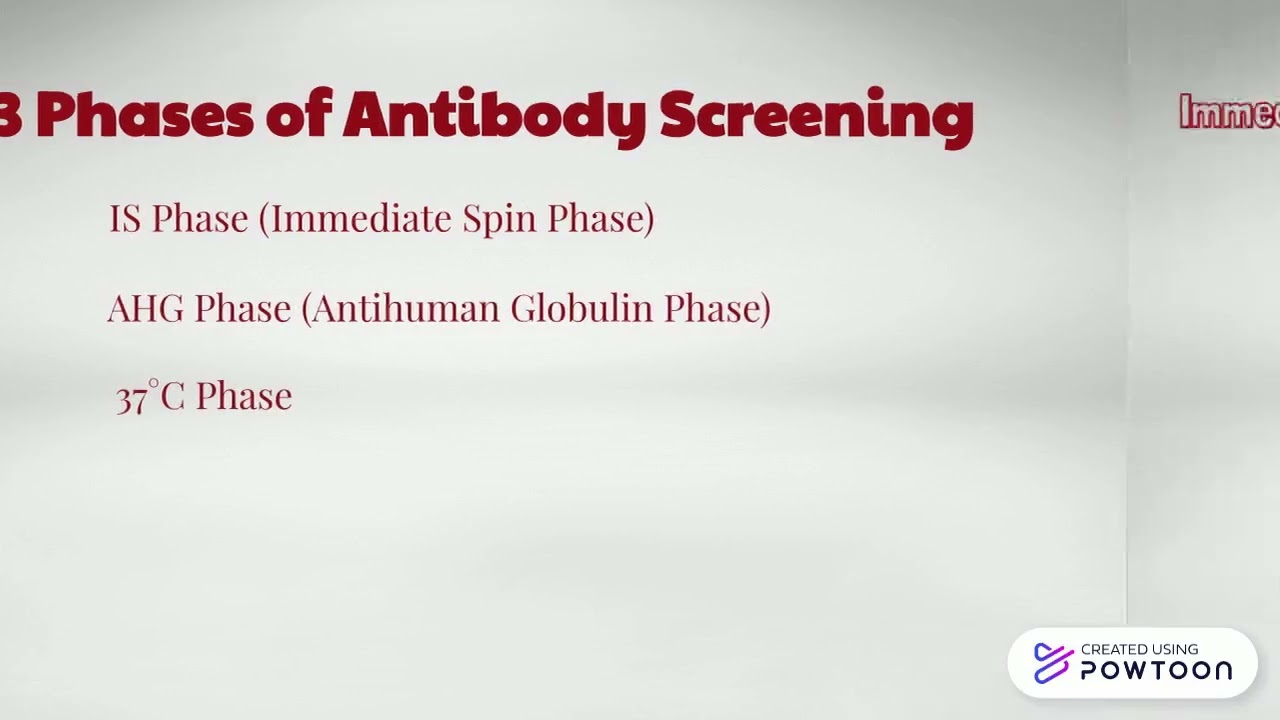 Copy of Importance of Antibody Screening and Identification.pptx