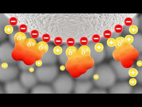 Introduction to Ion-exchange chromatography