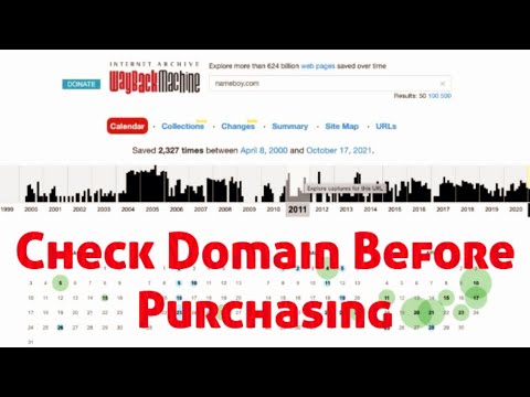 How to Check a Domain’s History Before Buying it (Steps + Tips) | Check Domain Before Purchasing