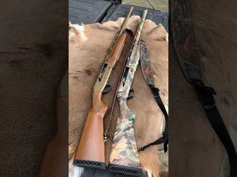 The Stoeger M3000 is a safe bet after all. #guns #hunting #shooting #shotgun