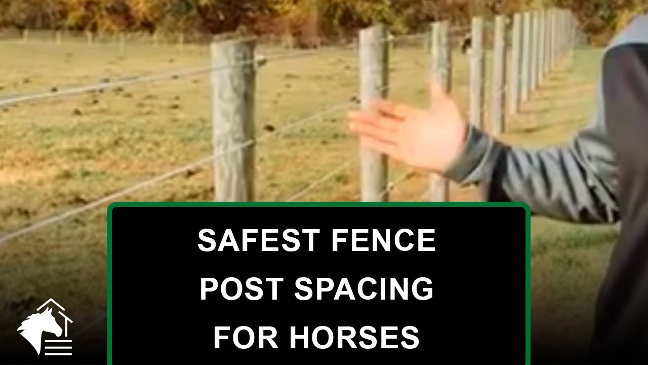 🐴 Wood Fence Posts 🌲 What's the Safest Fence Post Spacing for Horses?