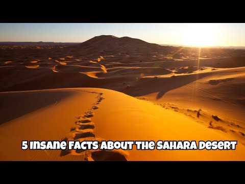 5 Insane Facts about the Sahara Desert