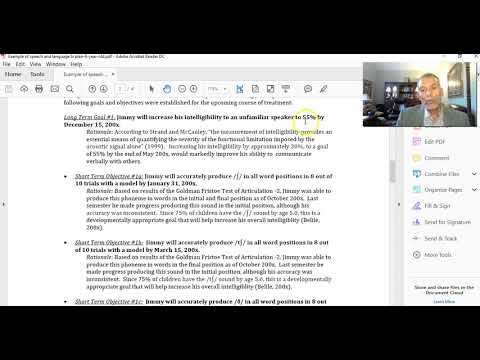Treatment of morphological, syntactic and semantic deficits