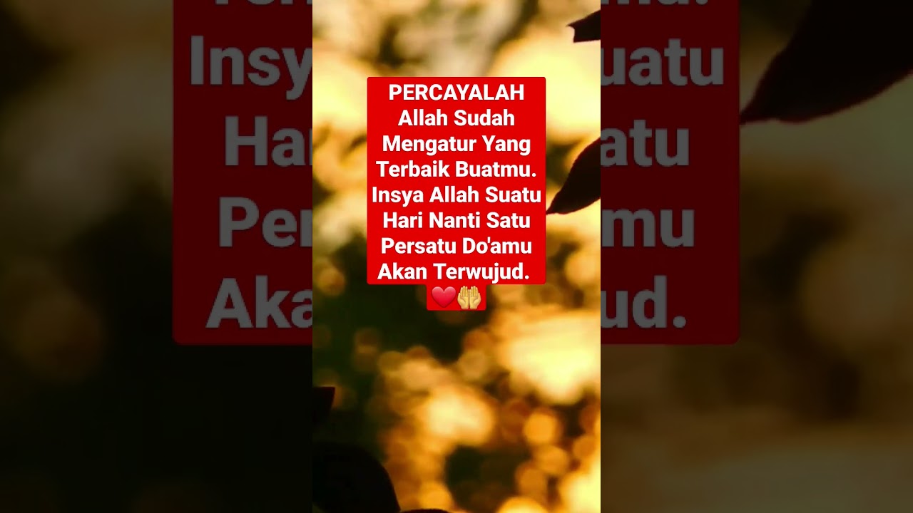 KATA-KATA BIJAK TERBAIK, KATA BIJAK ISLAMI, DOA HARIAN #shorts