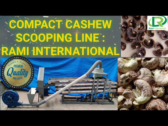 Cashew Scooping Machine - Shell And Kernel Separating System Manufacturer from Ahmedabad