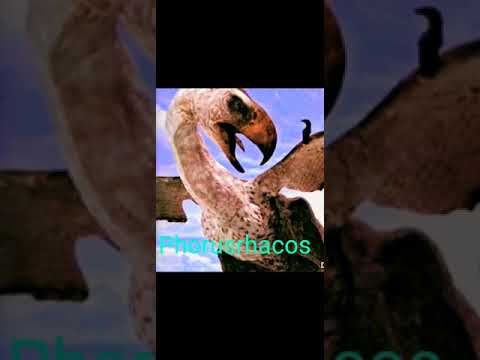 Original Roar Of Kelenken (feather family)