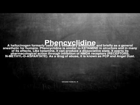 Medical vocabulary: What does Phencyclidine mean