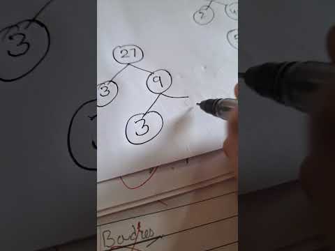 factor tree of 27