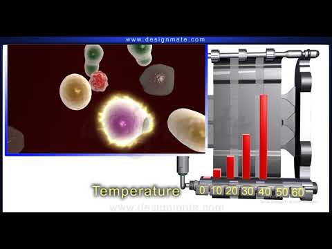 Effect of temperature on enzymatic activity
