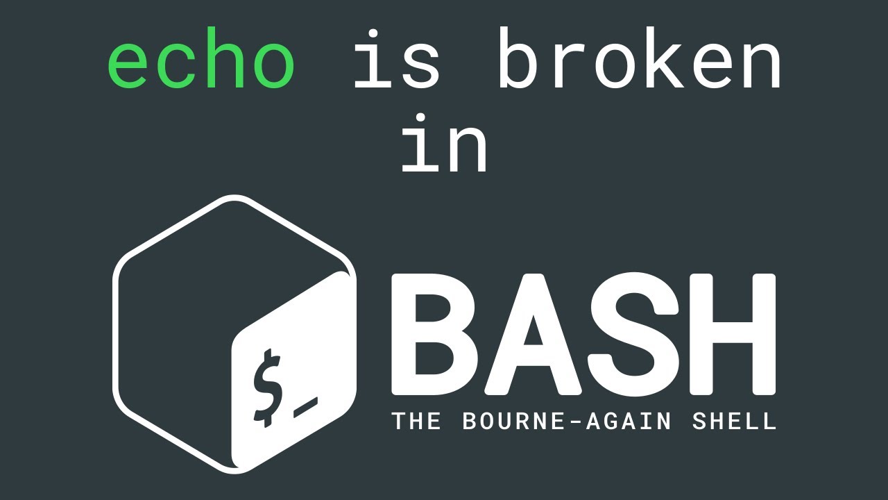 bash's echo command is broken