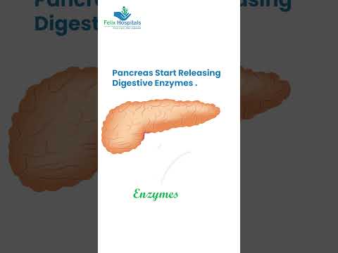 How our digestive system work | Role of pancreas in digestion #felixhospital