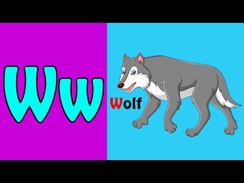 W letter words || Words That Start with W || W for Walrus, W for Well, W for Warthog || kids video