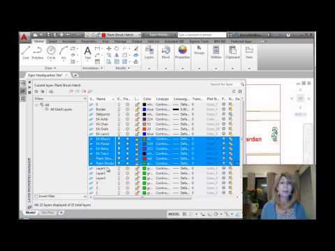AutoCAD Layer Tips and Tricks | BIM Outsourcing