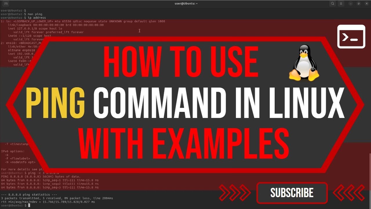 How to Use PING command in Linux with Examples
