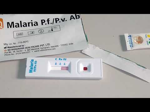 Malaria Test Kits - Malaria Kit Latest Price, Manufacturers & Suppliers