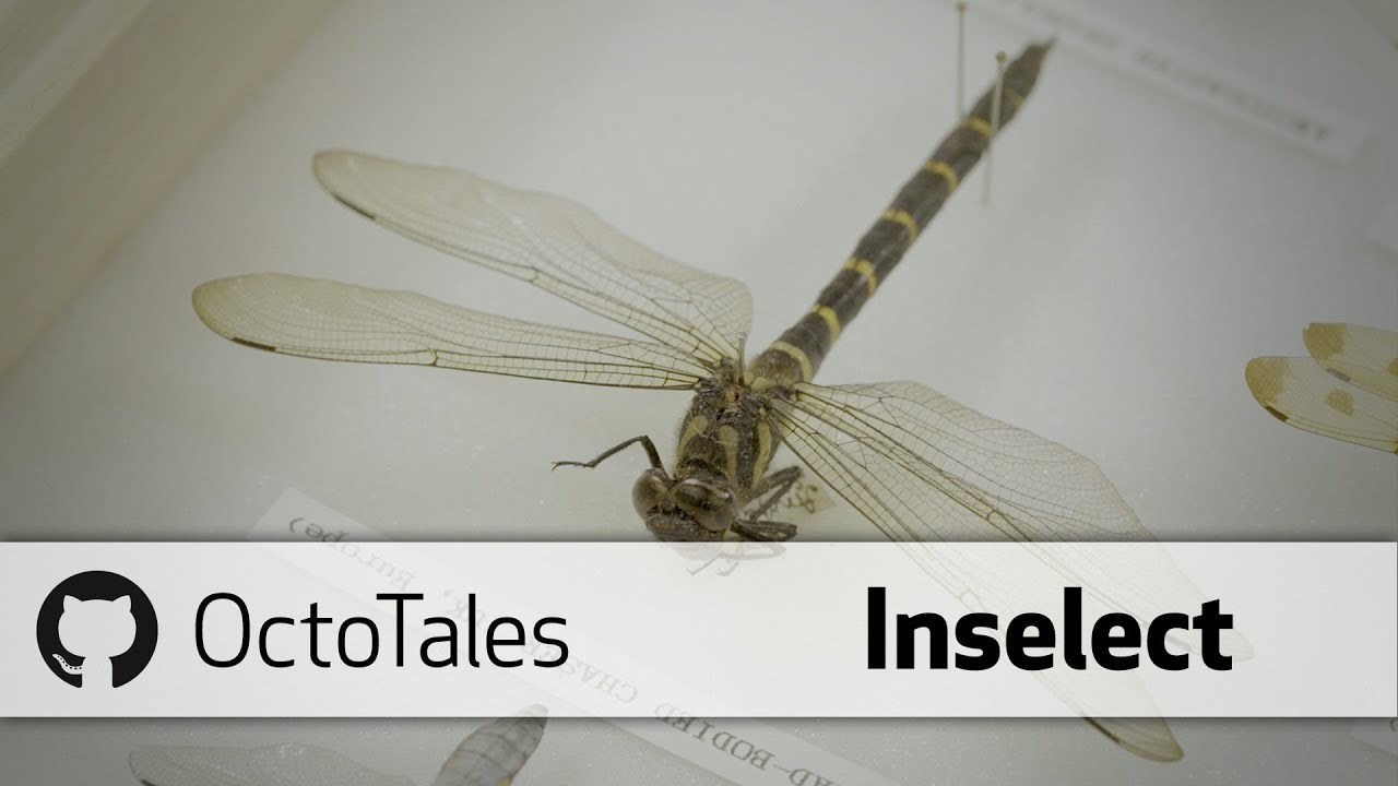 Octotales - Inselect